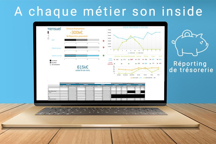 Each business has its Inside : Cash flow reporting - Infineo Reporting UK